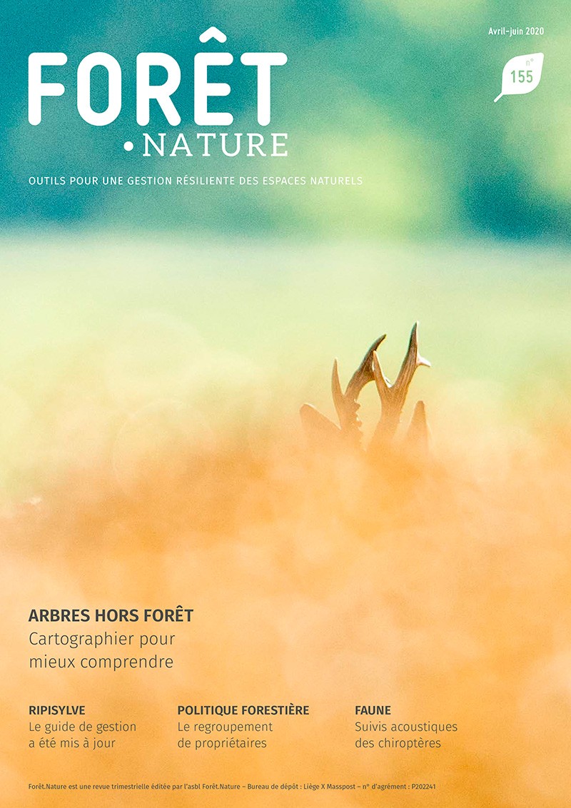Numéro 155 Forêt Nature
