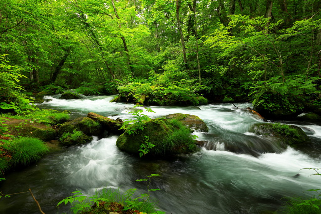 De la performance à la robustesse, pour un nouveau rapport au vivant ...